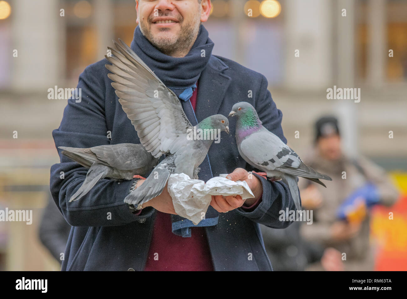Holding Pigeons In Your Hands On The Dam Square At Amsterdam The ...