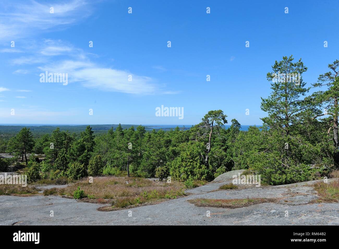 åland islands forest hi-res stock photography and images - Alamy