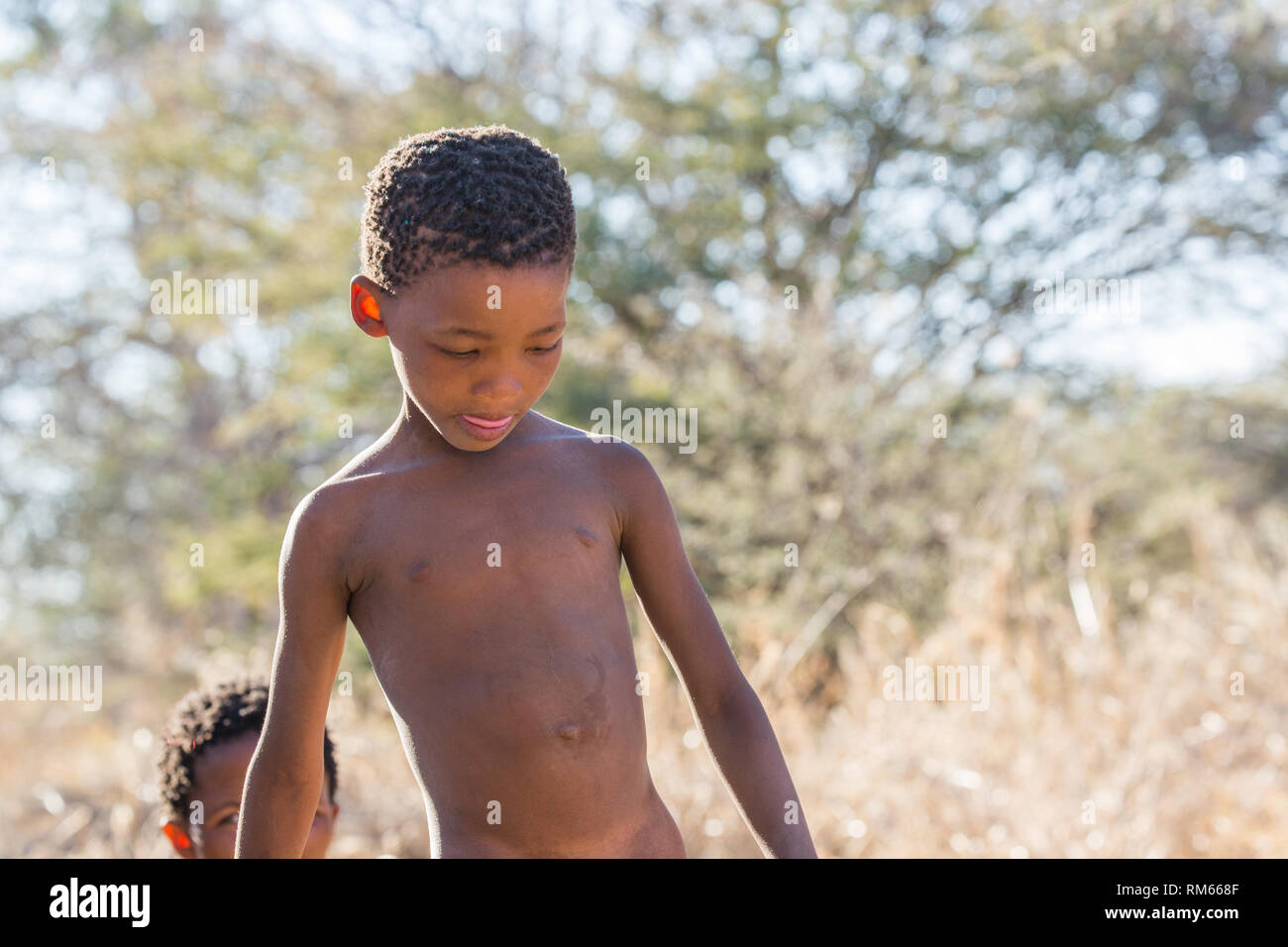 Portrait of a Bushman child. Photographed in Namibia Stock Photo - Alamy