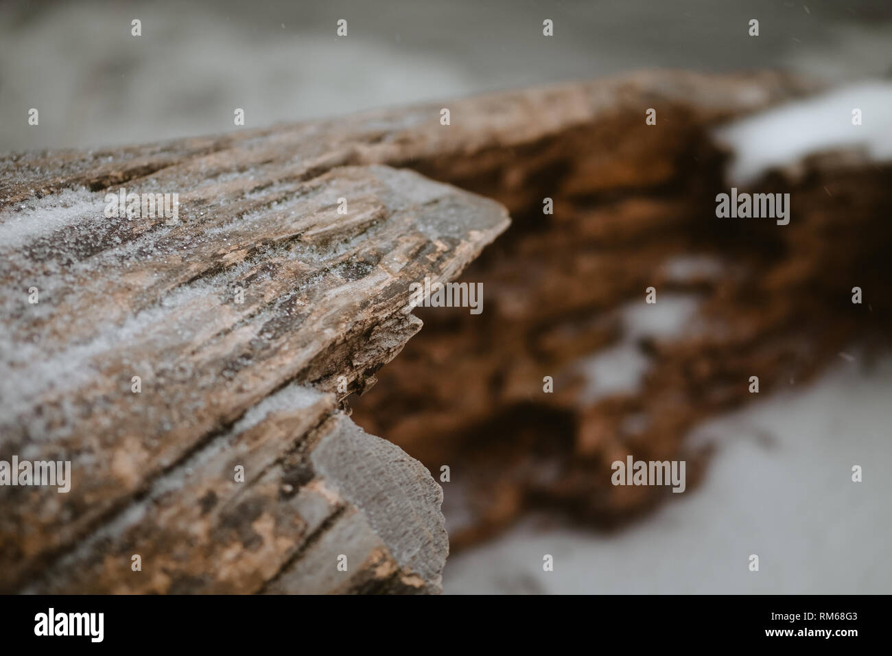 Snow on a log Stock Photo - Alamy