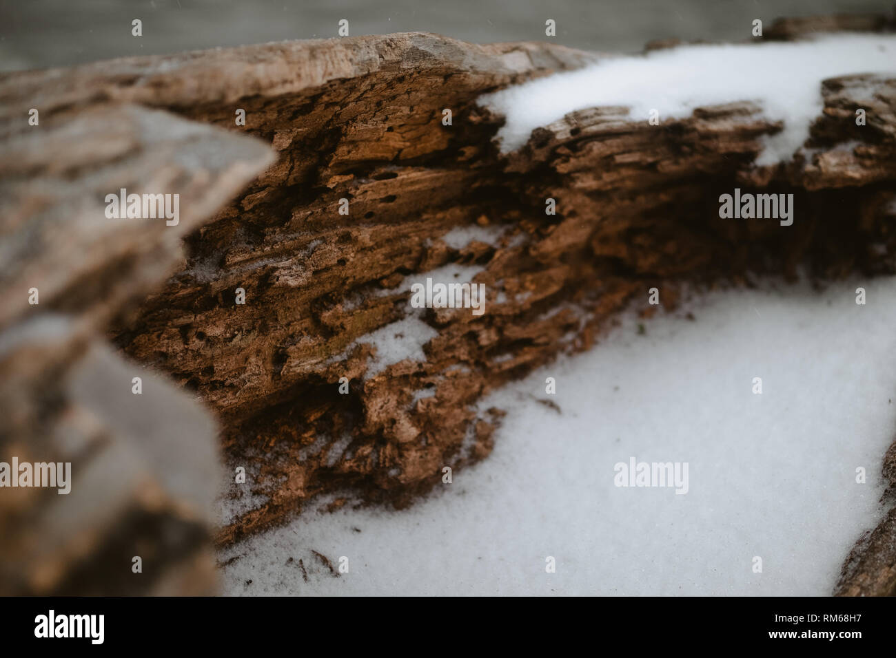 Snow on a log Stock Photo - Alamy