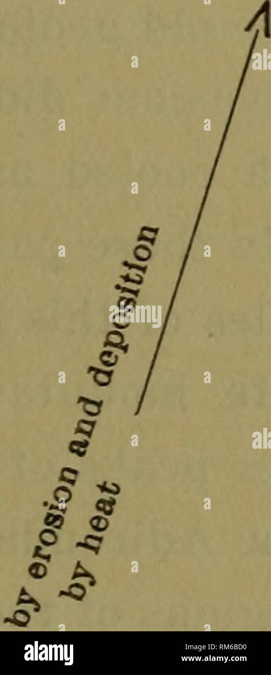 . Annual report of the Regents. New York State Museum; Science ...