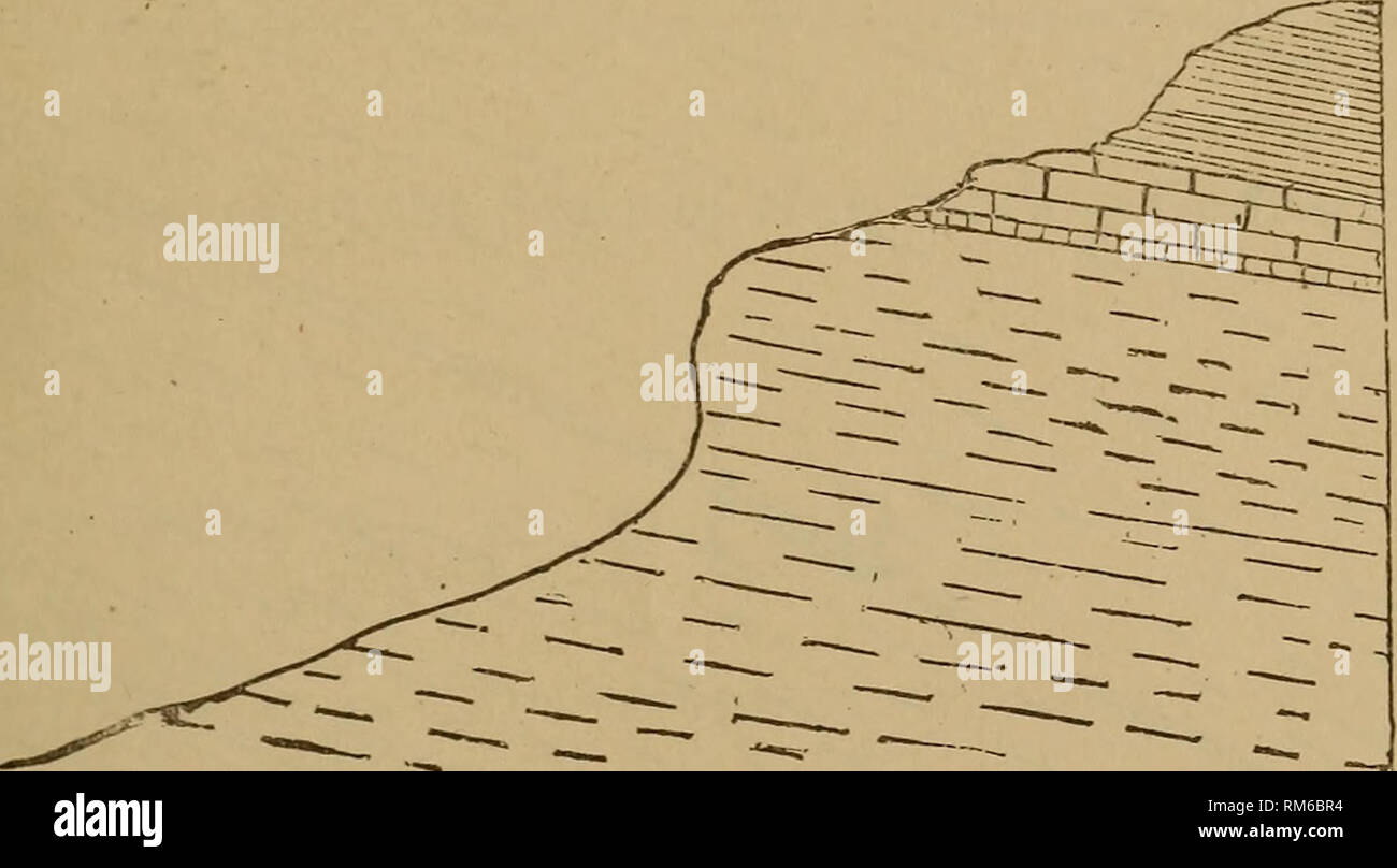 Thin section of limestone hi-res stock photography and images - Alamy