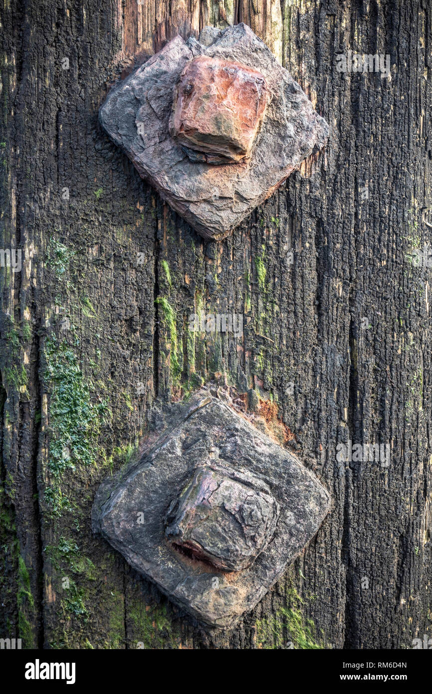 Old rusty bolts Stock Photo - Alamy