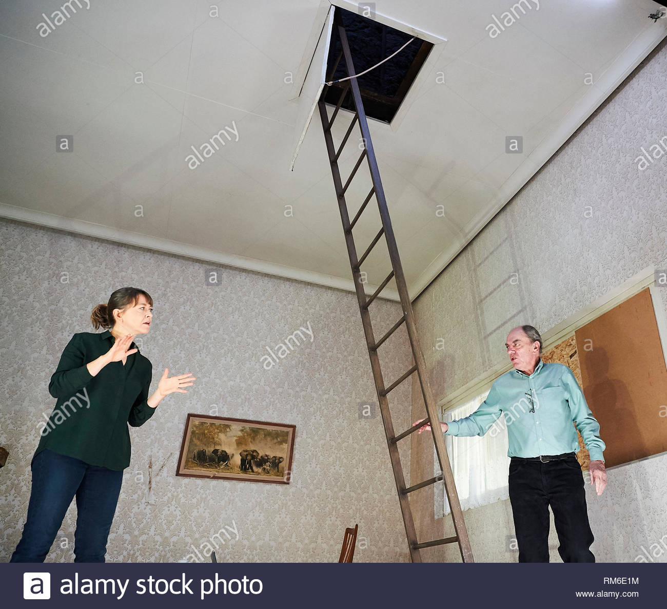 Mark Cane High Resolution Stock Photography and Images - Alamy