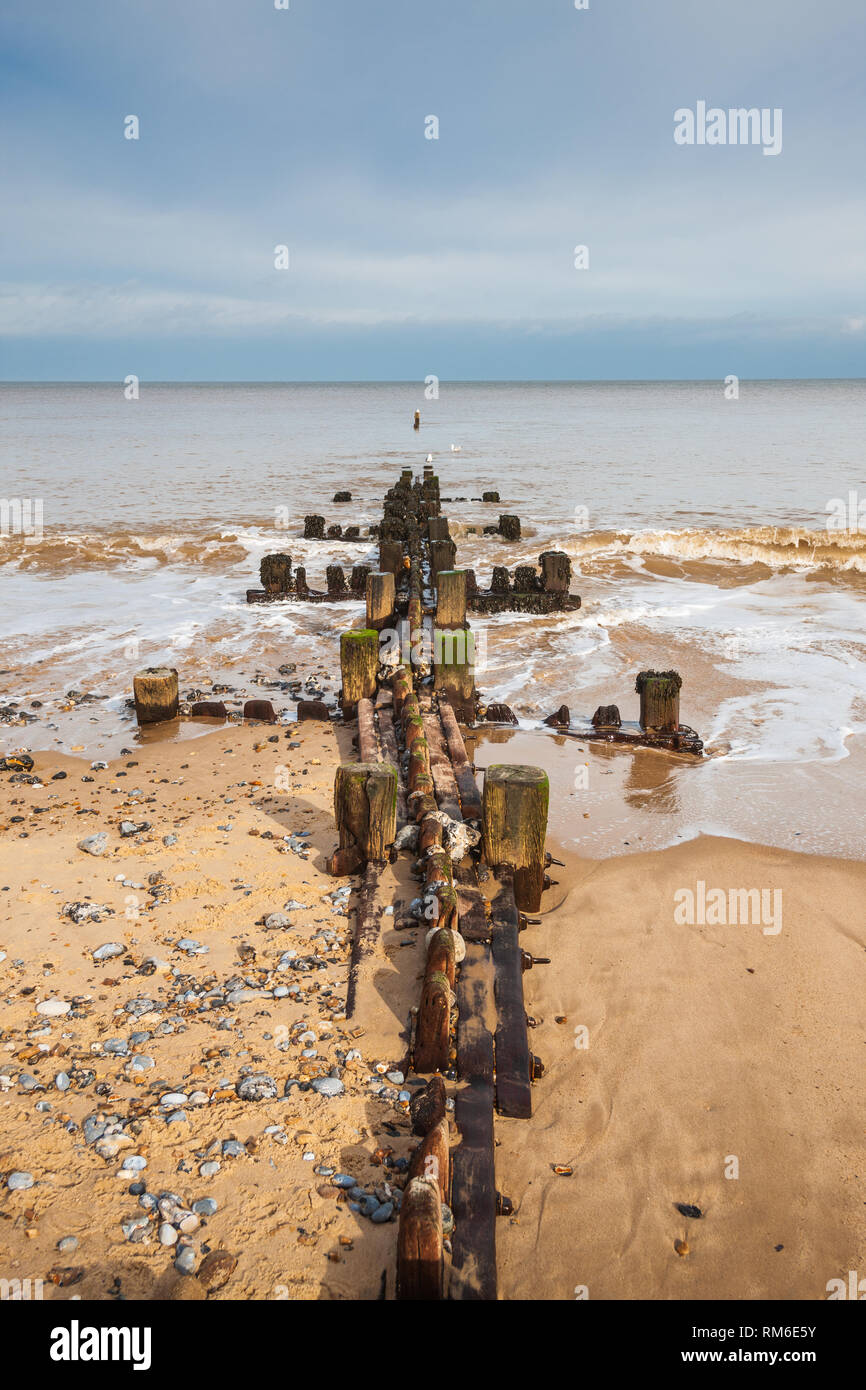 wooden beach groynes, coastal sea defences at overstrand on the norfolk ...