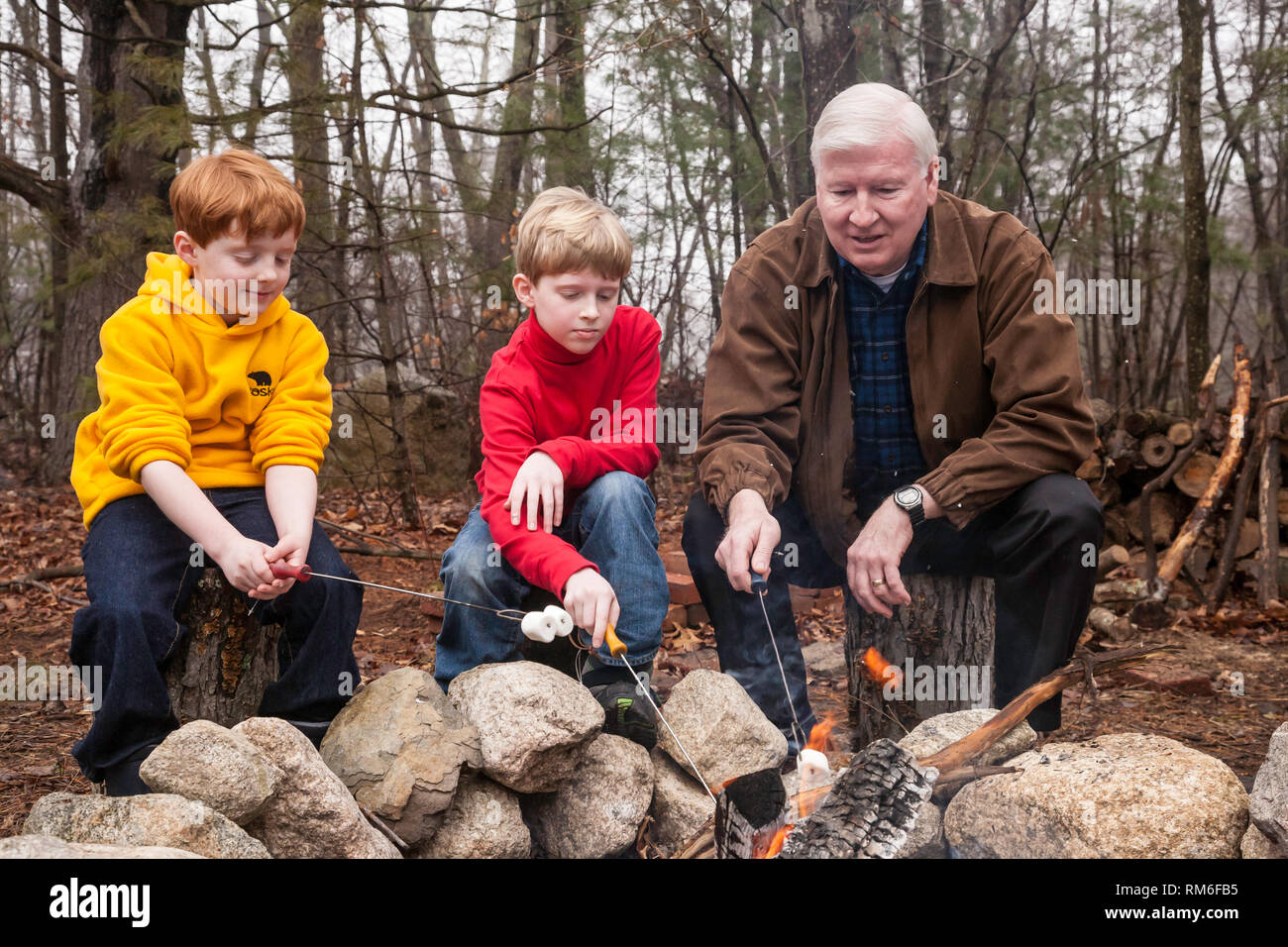 Grandfather grandsons sticks forest hi-res stock photography and images ...