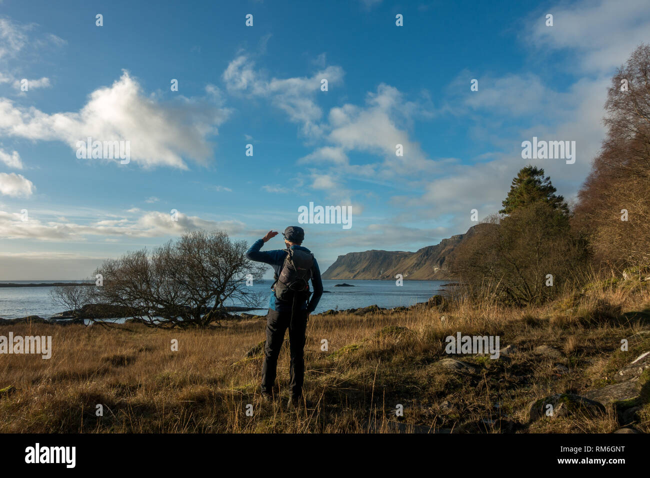 Scottish bird watching hi-res stock photography and images - Alamy