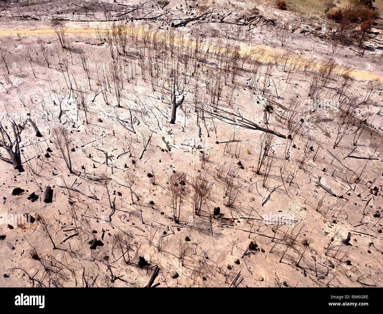 Aerial tree landscape hi-res stock photography and images - Alamy