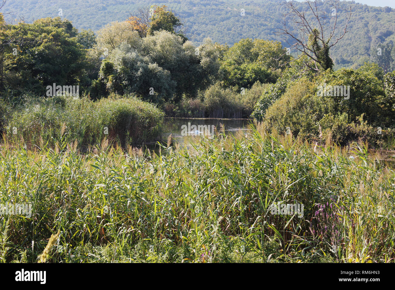 Lake of Agra Edessa Greece Europe Stock Photo - Alamy