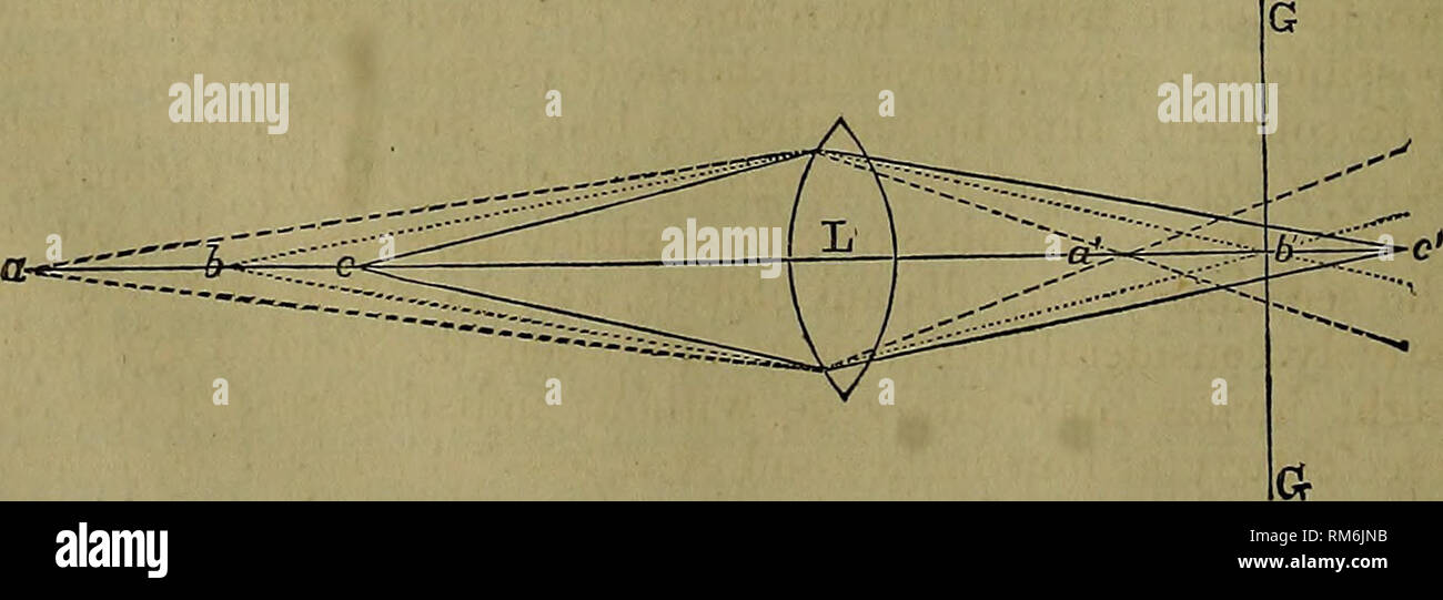 Membrane over eye hi-res stock photography and images - Alamy