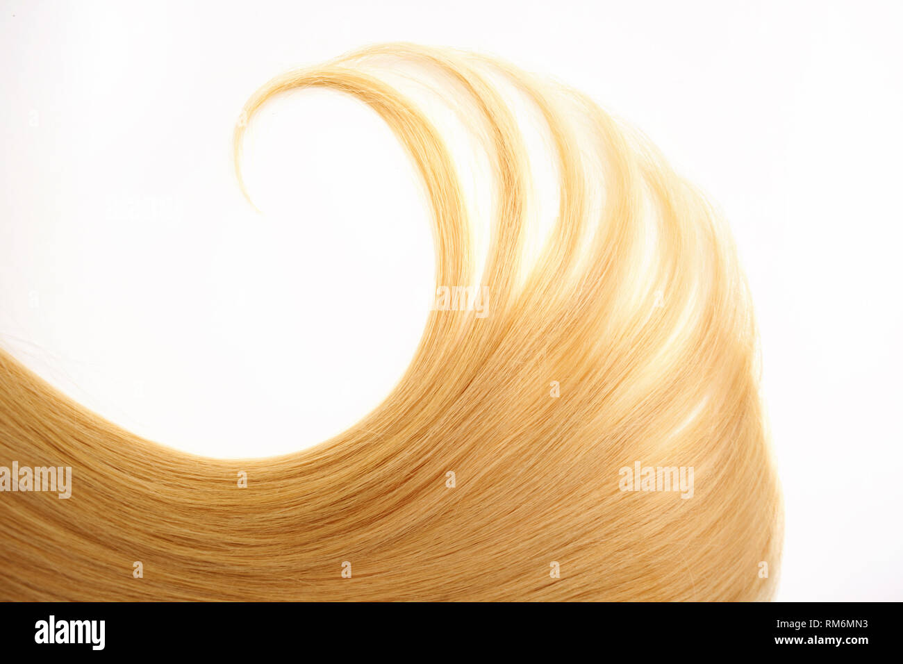 Golden Curls hair isolated on white background. Strand of Blonde or red ...