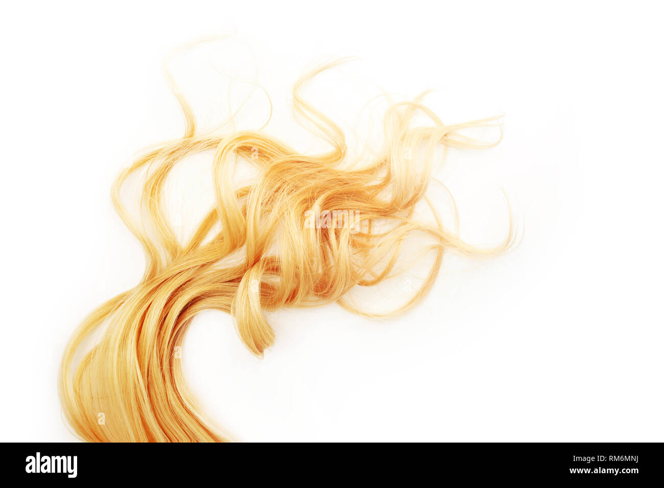Golden Curls hair isolated on white background. Strand of Blonde or red ...