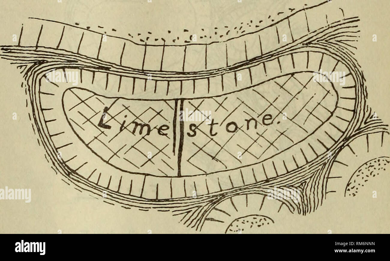 . Annual report of the Regents. New York State Museum; Science. r22 NEW ...