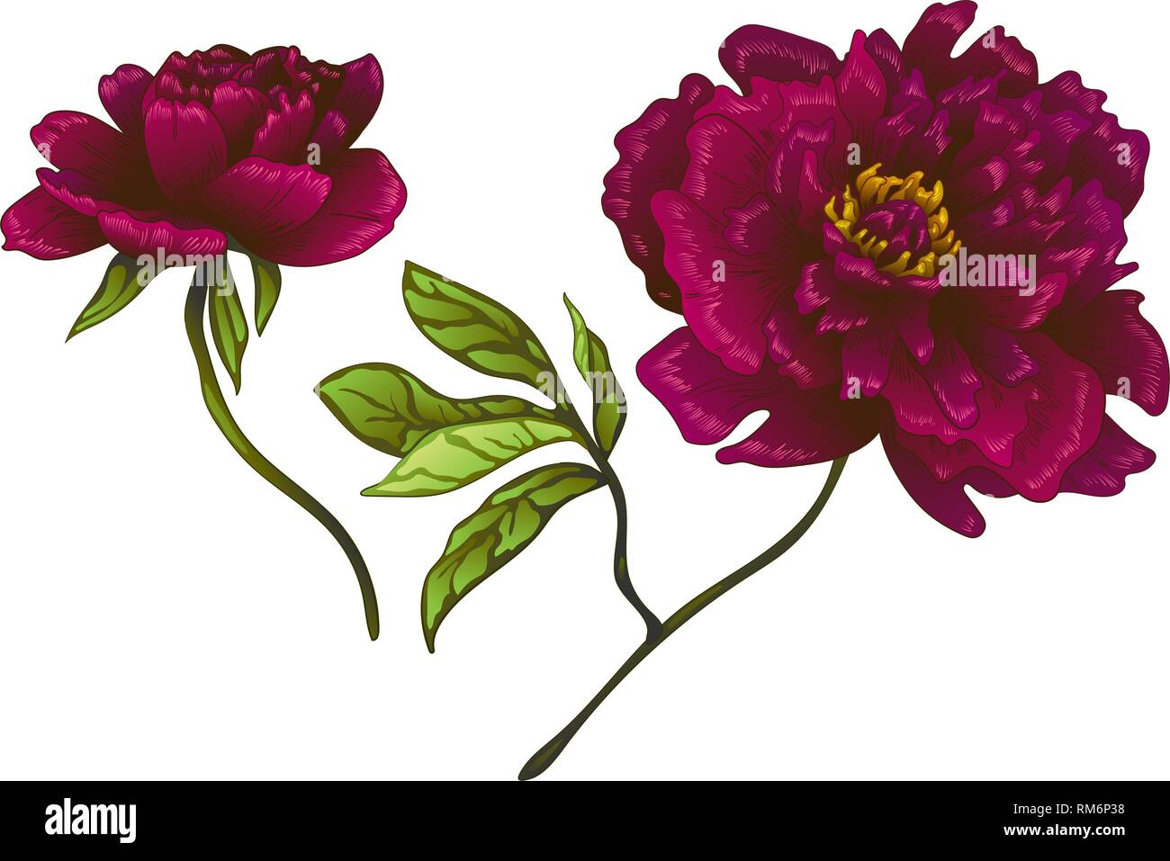 Burgundy flower Stock Vector Images - Alamy