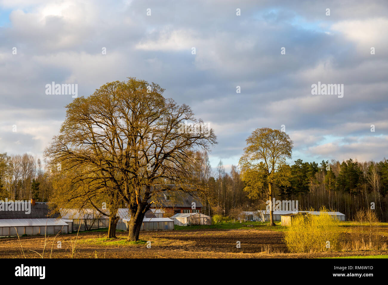 Corn field and farm house hi-res stock photography and images - Alamy