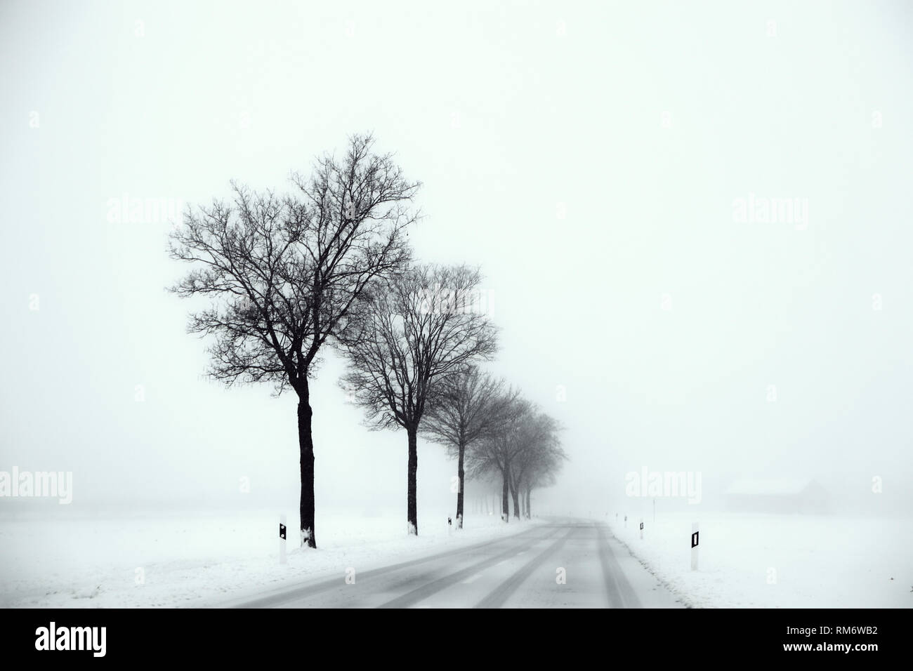 Winter, minimalist scene, white landscape with snow and fog, country ...