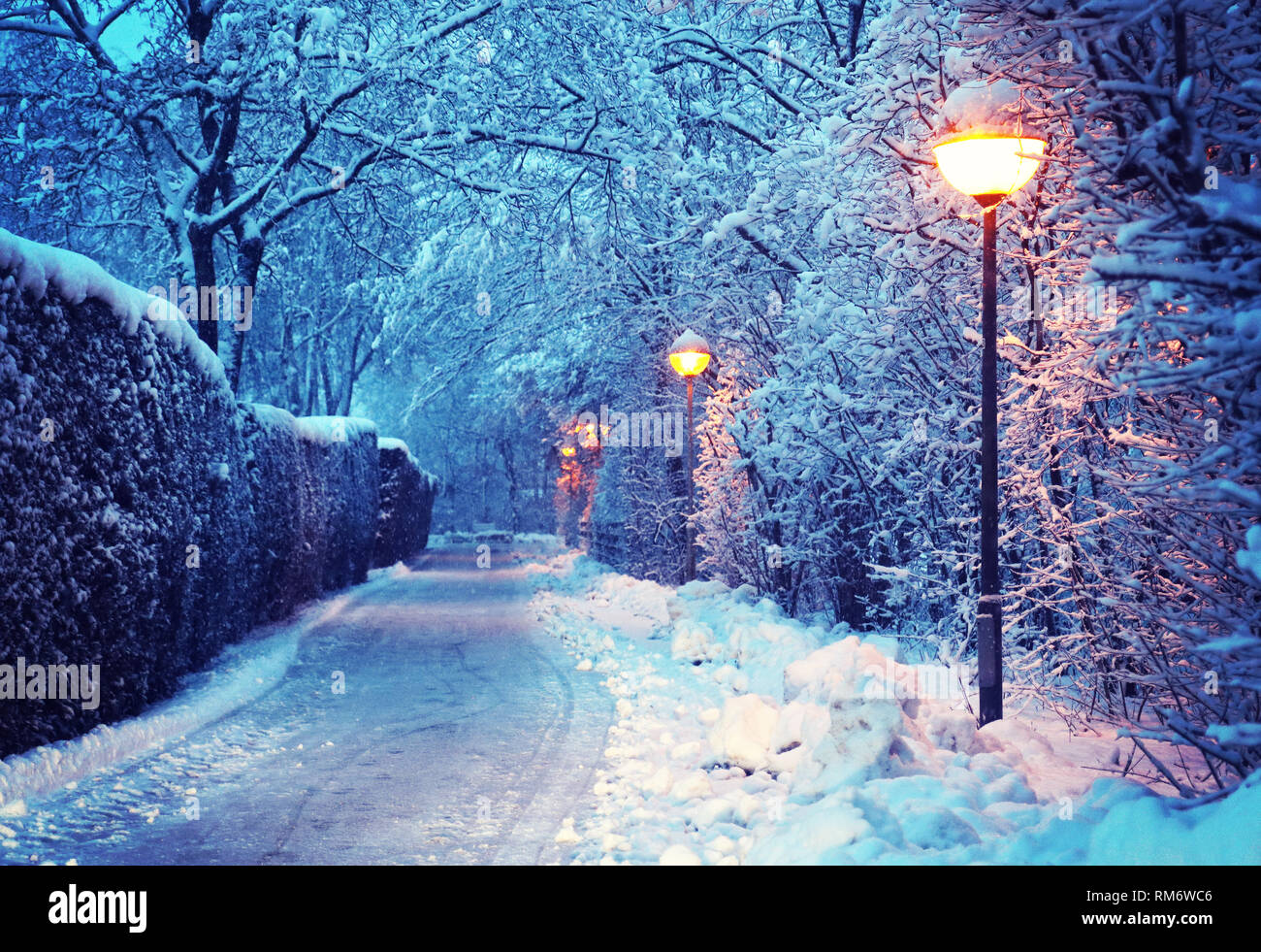 Snow Falling At Night Wallpaper