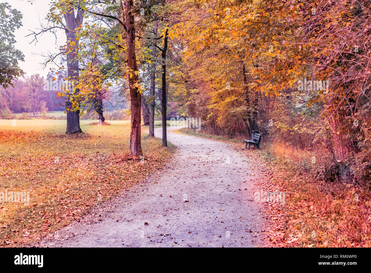 An Old Park at fall in Munich, Germany Stock Photo - Alamy