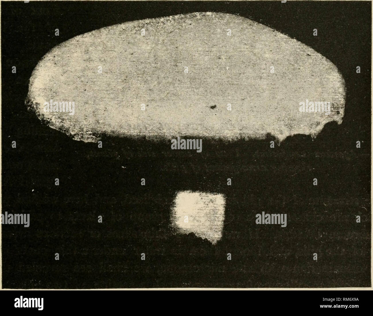 Ved triangular hi-res stock photography and images - Alamy