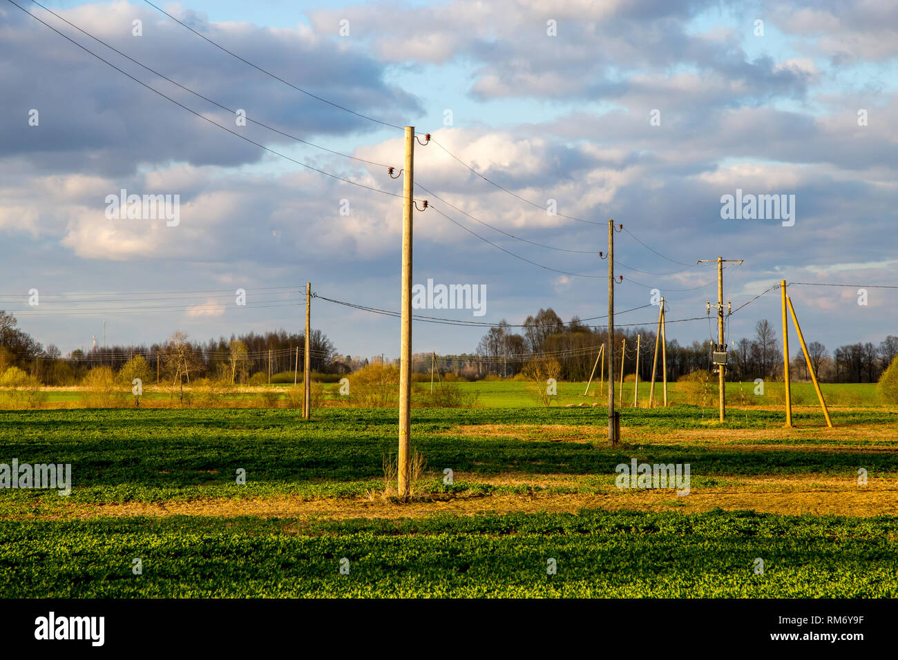 Green field with electricity poles and trees on the back, against a ...