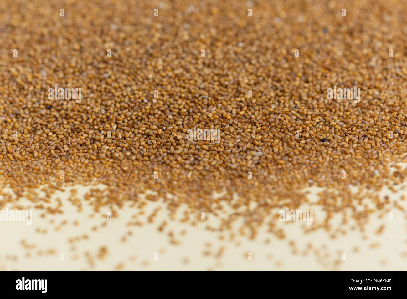 Healthy ingredients concept, lots of grains close-up isolated photo 091 ...