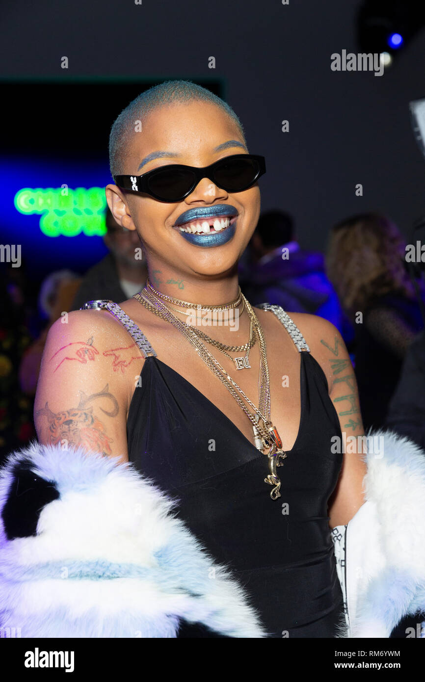 New York, NY - February 12, 2019: Slick Woods attends runway for ...