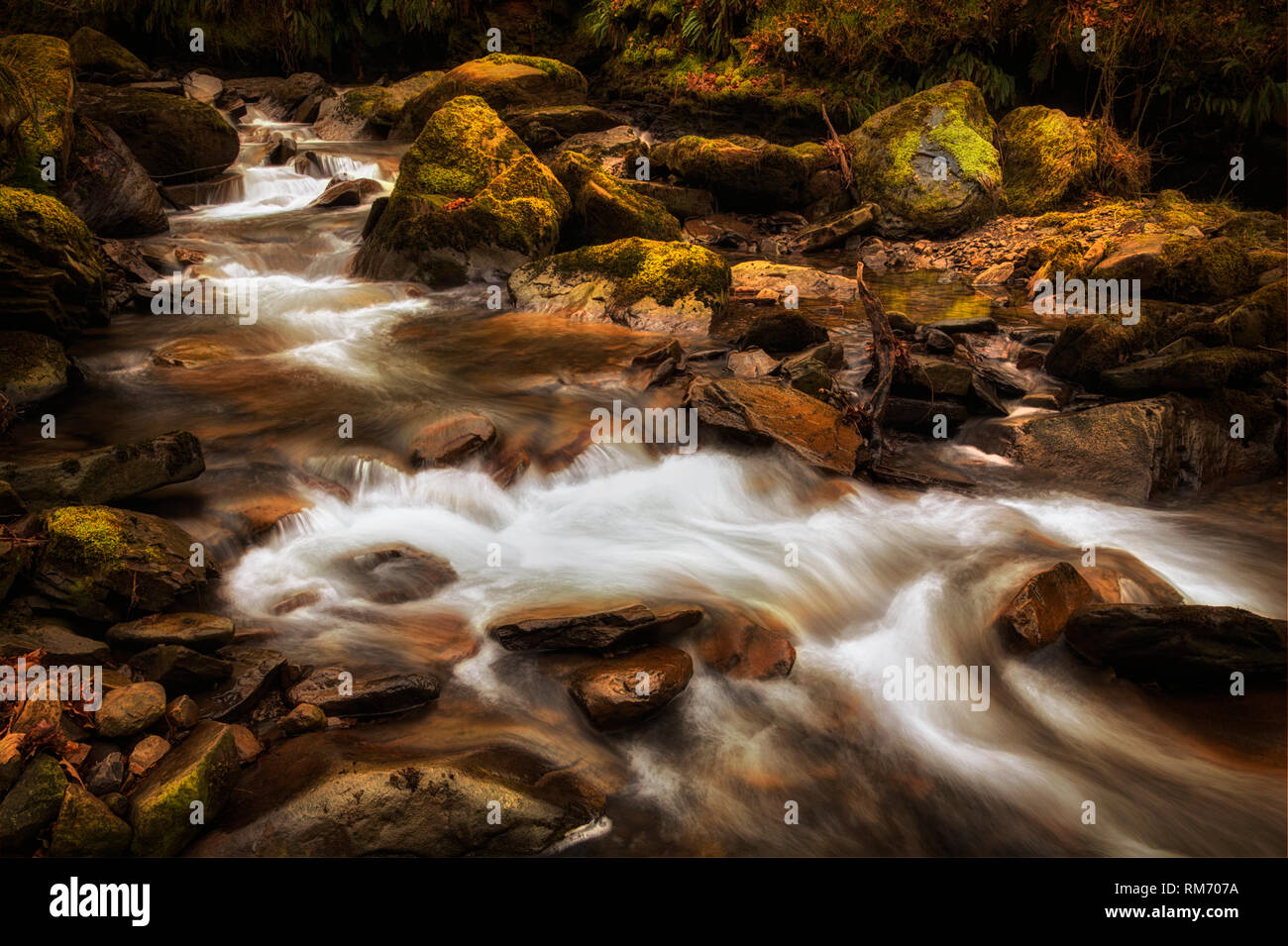 Wet riverbed hi-res stock photography and images - Alamy