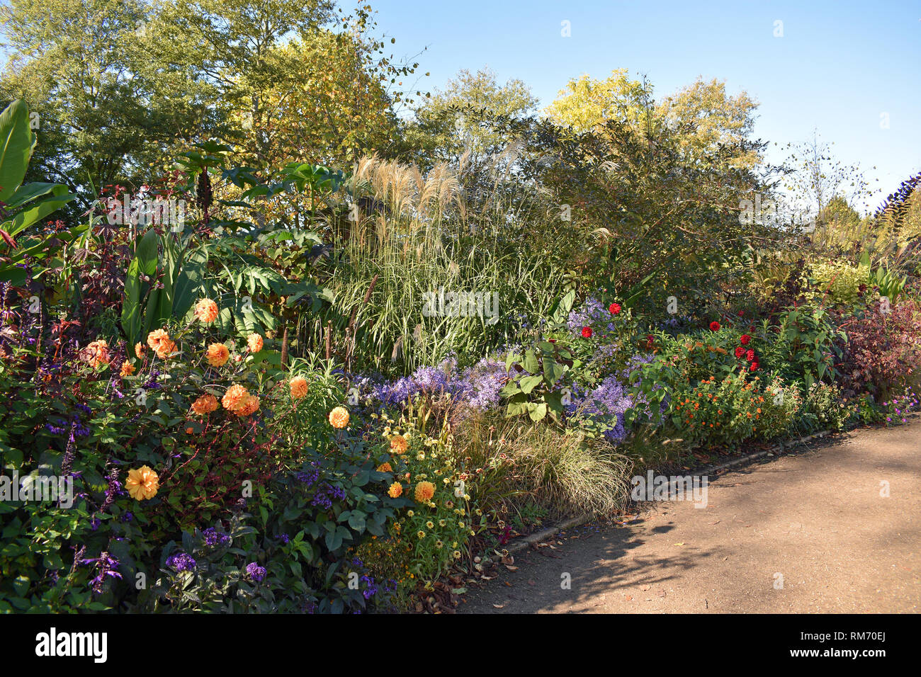 Oxford Botanical Gardens Stock Photo - Alamy