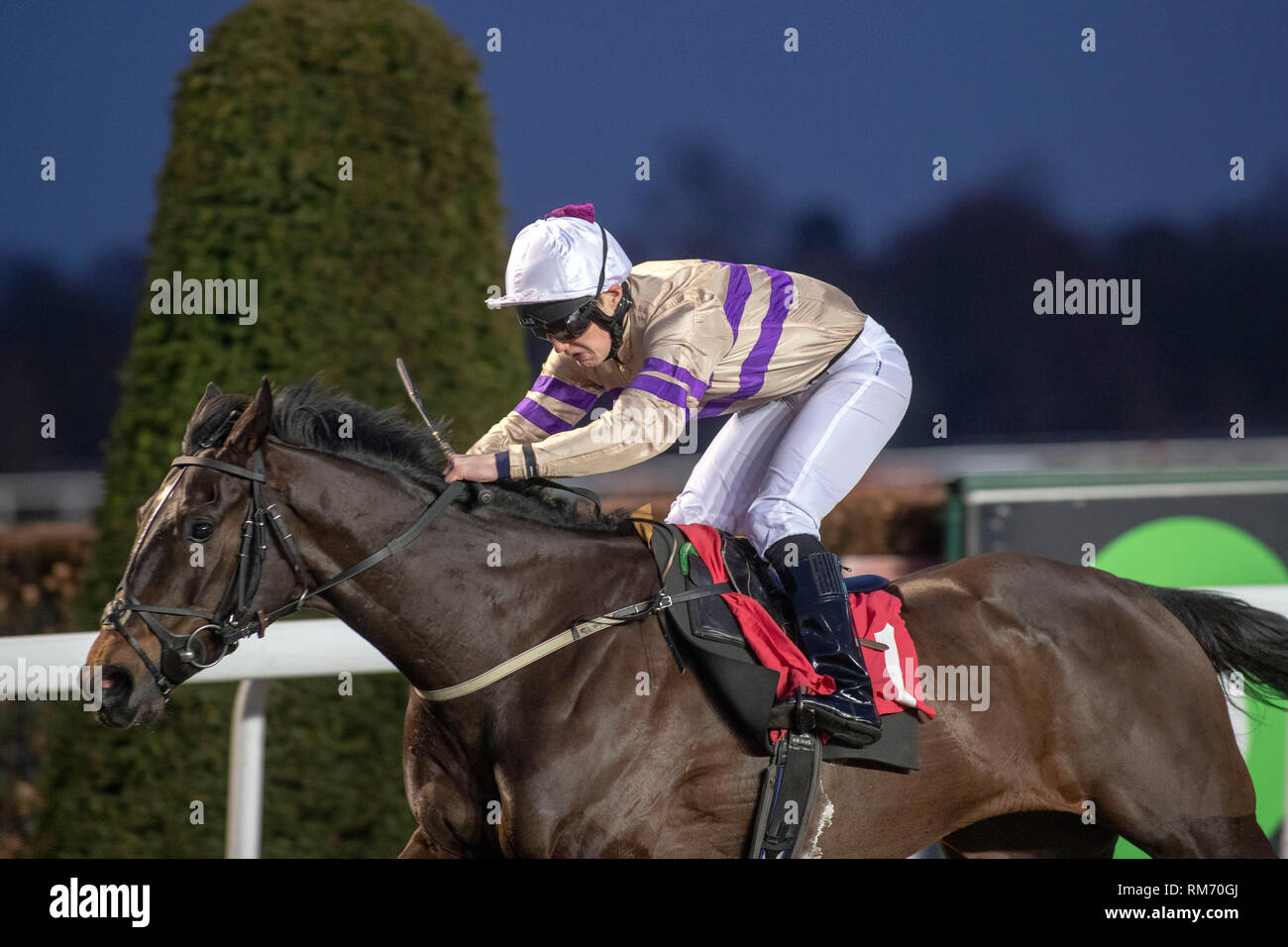 Rhys clutterbuck hi-res stock photography and images - Alamy