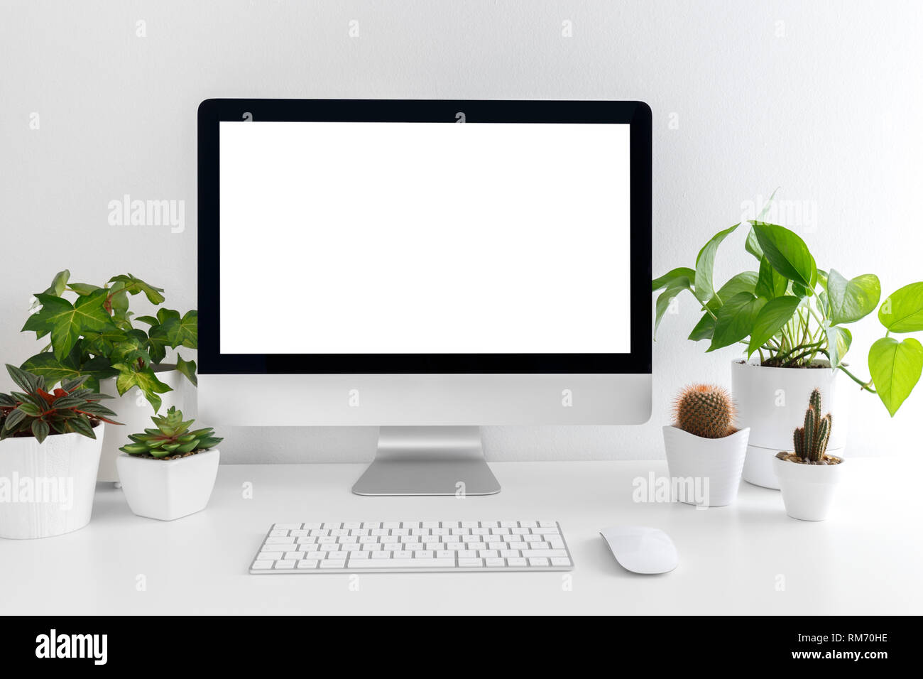 White modern desktop with computer and plants. Minimalistic workplace ...