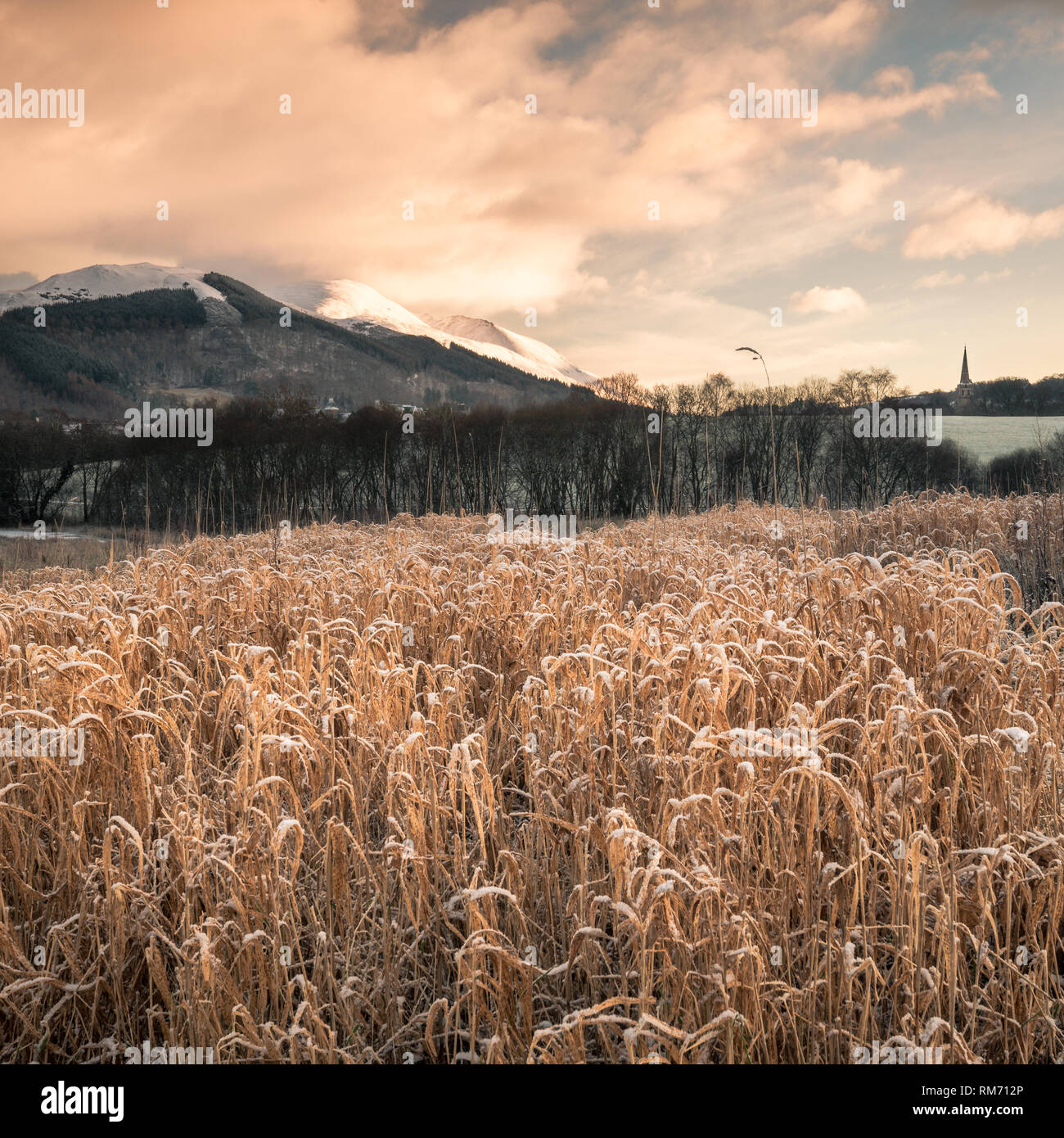 Golden Hour Sunrise Stock Photo - Alamy