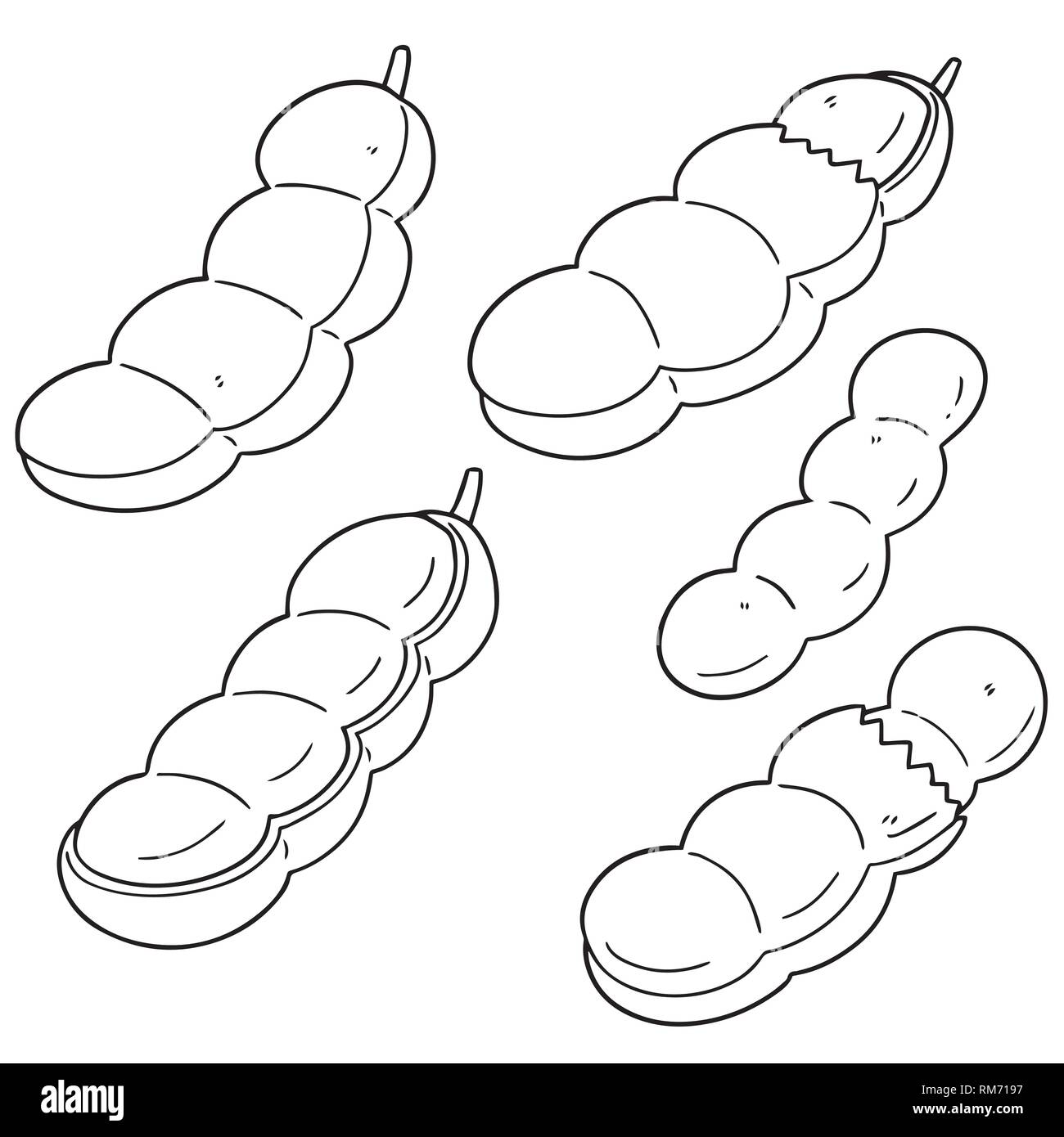 vector set of tamarind Stock Vector Image & Art - Alamy