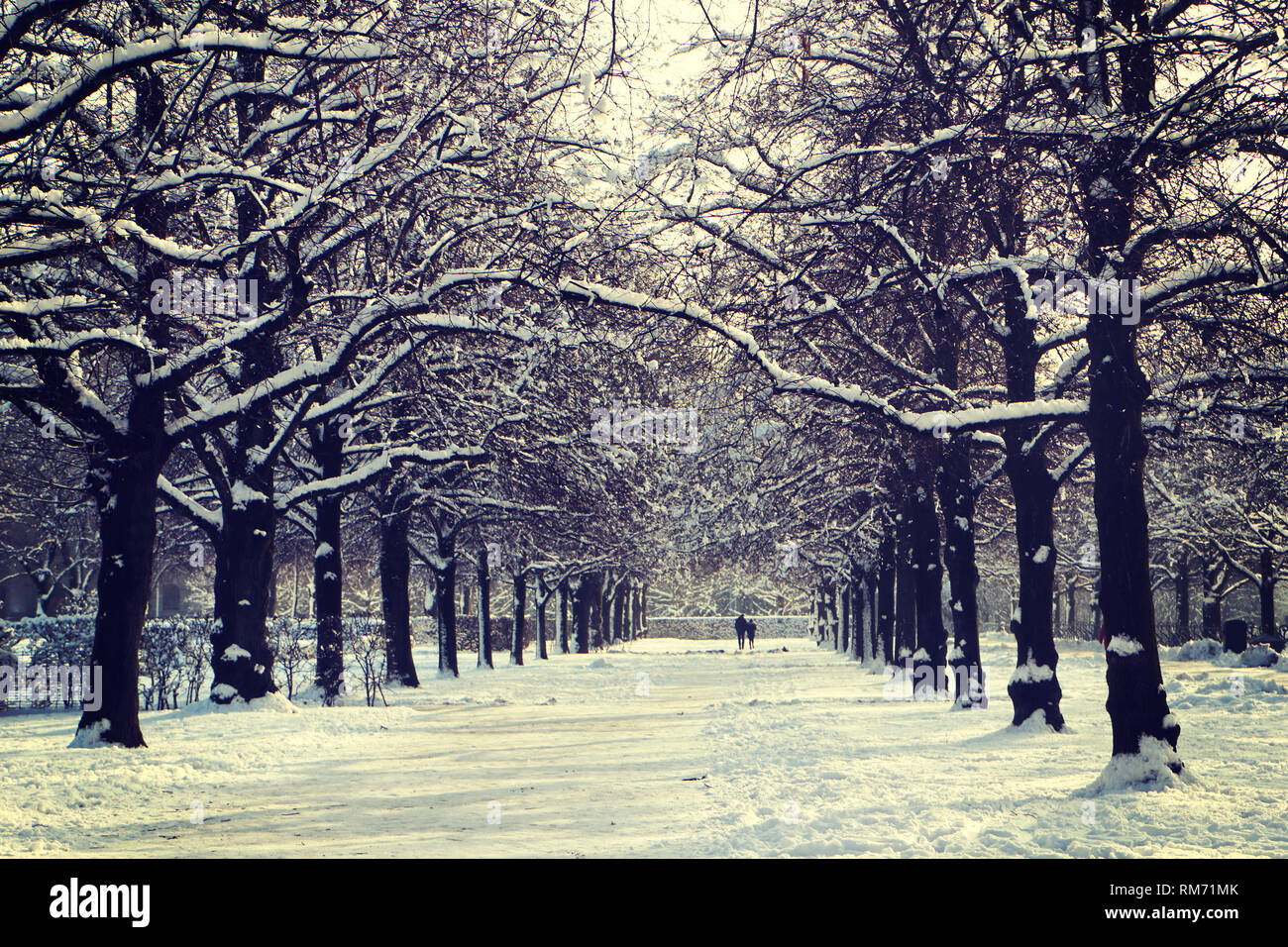 Munich city snow hi-res stock photography and images - Alamy