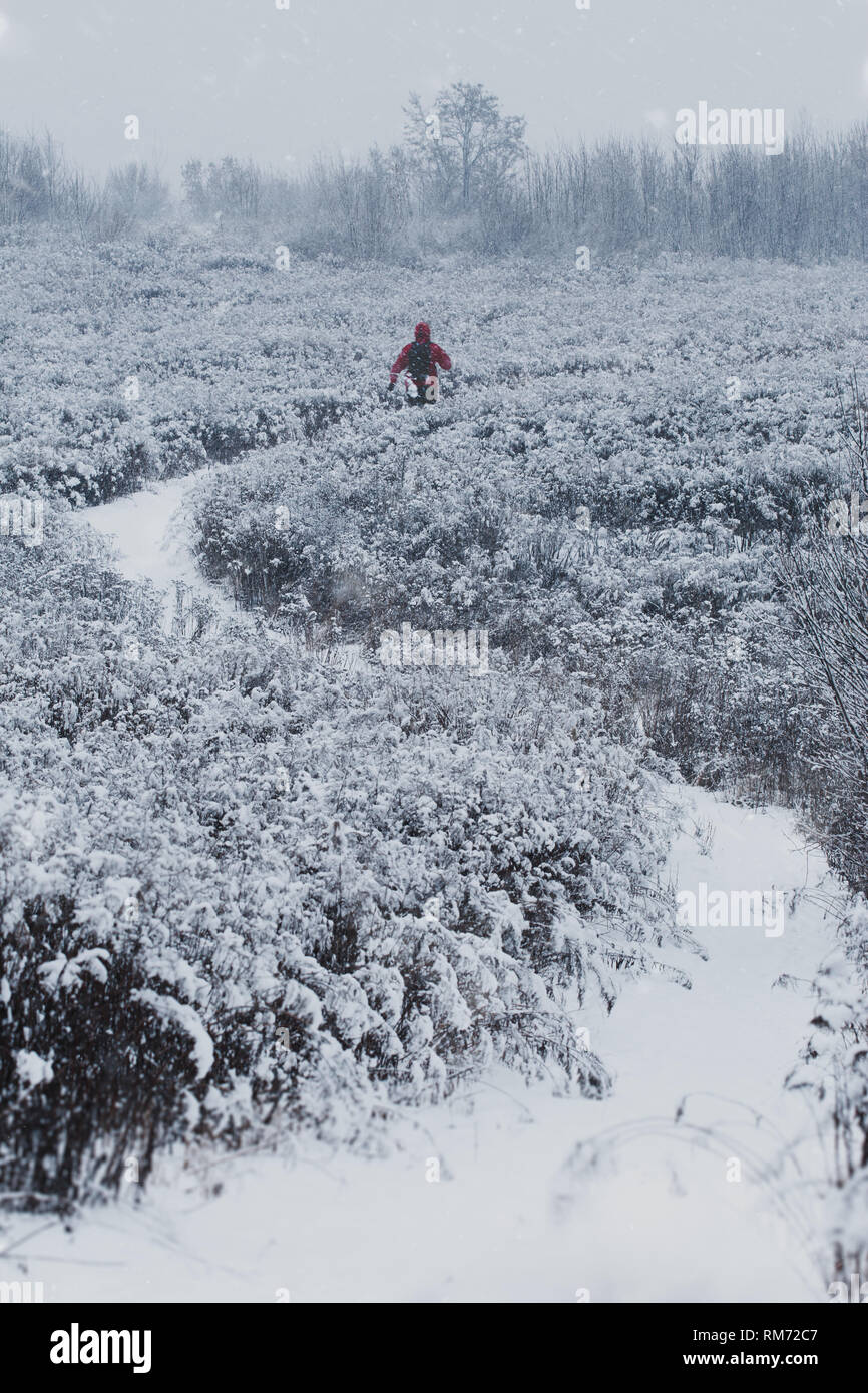 Runner male storm hi-res stock photography and images - Alamy