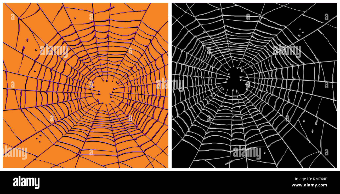 Hand drawn graphic spider web Stock Photo - Alamy