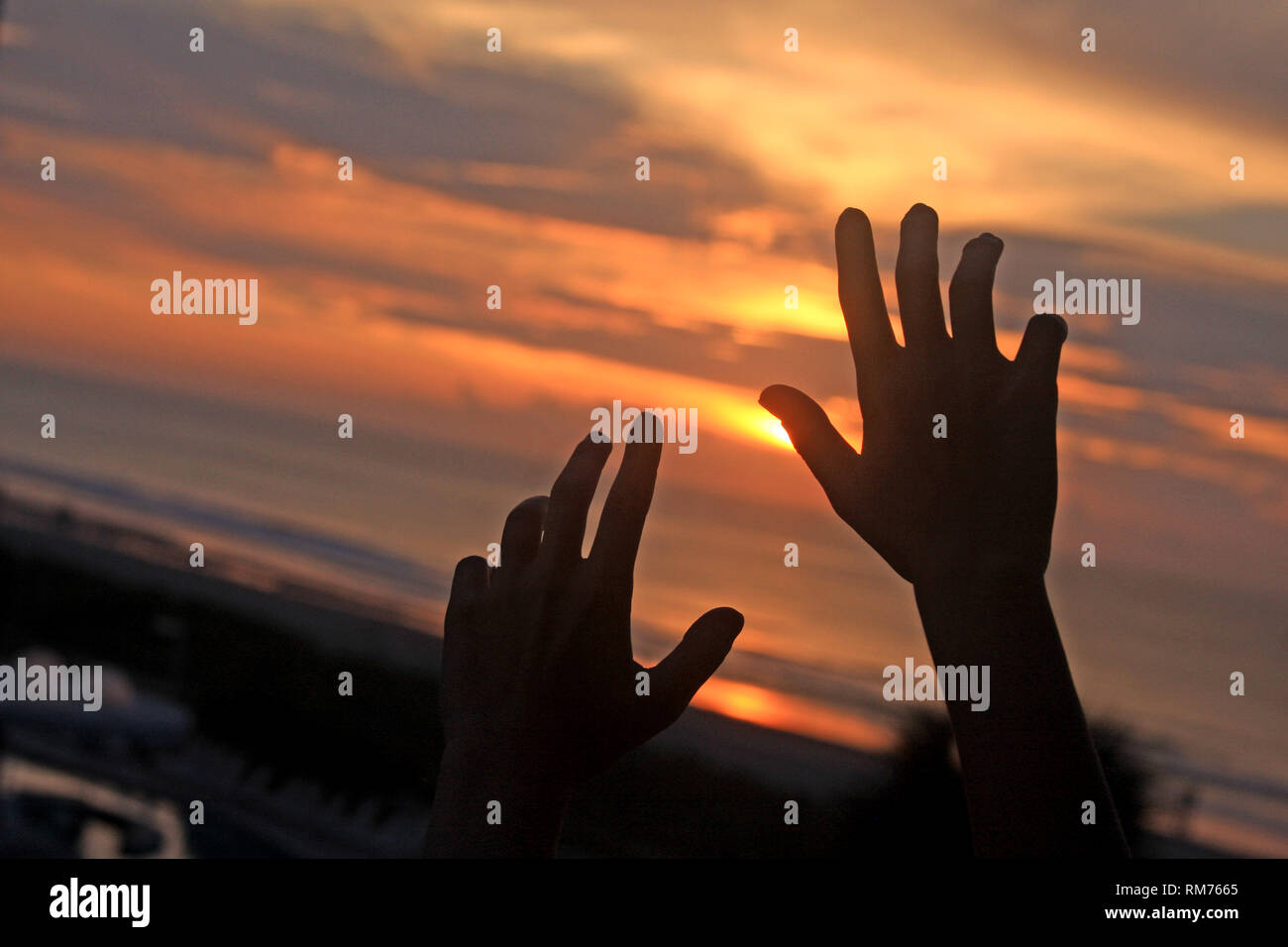 Reach towards the sun hi-res stock photography and images - Alamy