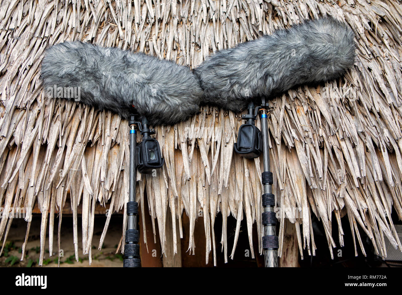 Two professional boom MIC for the film Stock Photo - Alamy