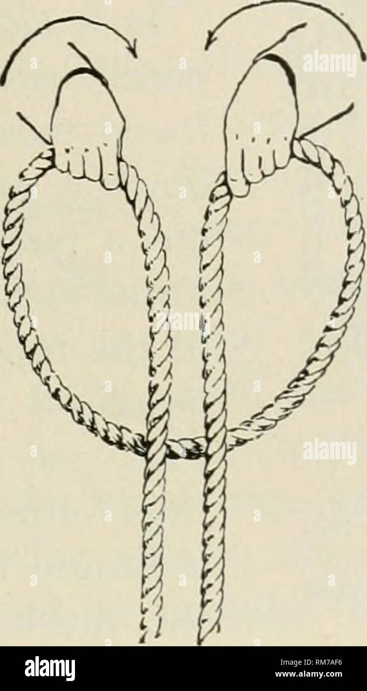 Hitches made with rope hi-res stock photography and images - Alamy