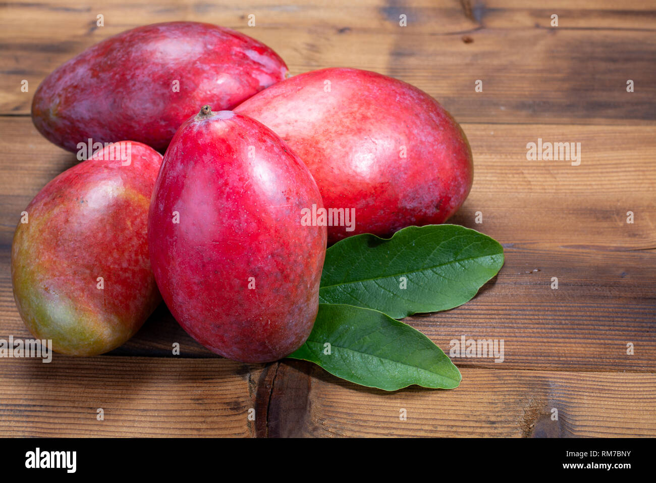 National fruit of India, Pakistan, and Philippines tropical organic ...