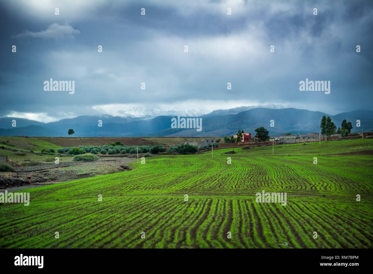 Farming in morocco hi-res stock photography and images - Alamy