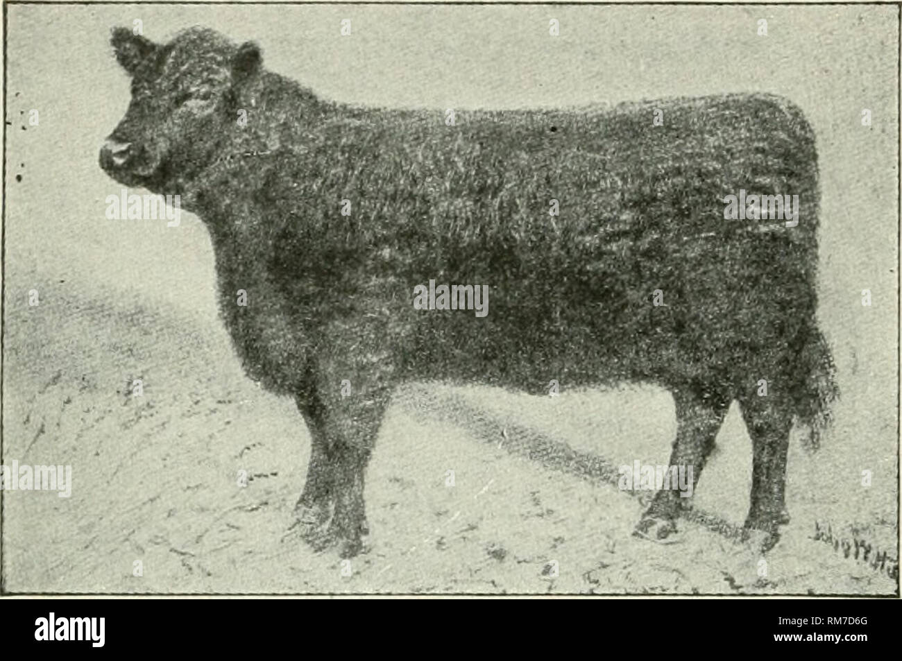 . Annual report of the New York State College of Agriculture at Cornell ...