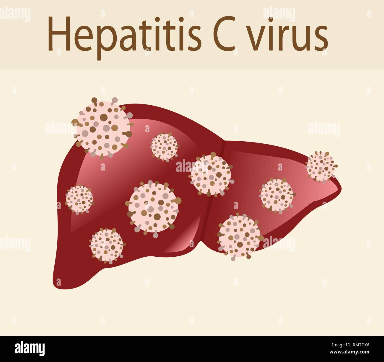 Hepatitis C virus attack the liver vector illustration on a white ...