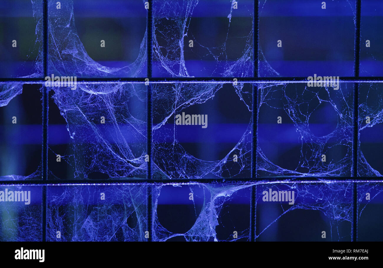 Horror background hi-res stock photography and images - Alamy