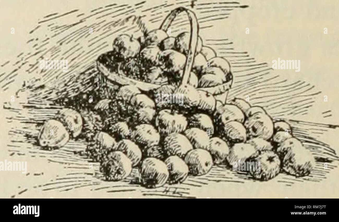 Adding manure hi-res stock photography and images - Alamy