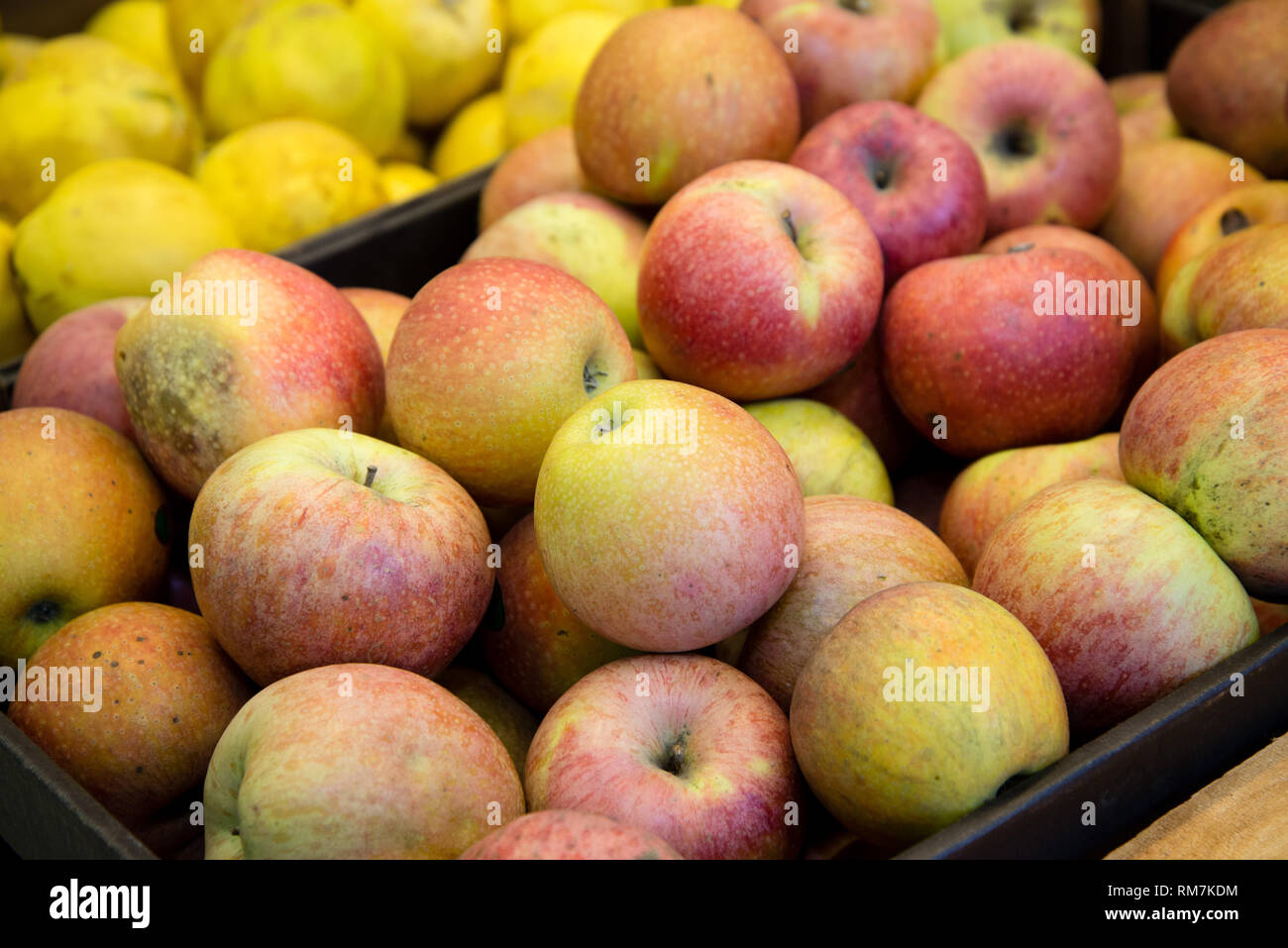 Fruit in a box hi-res stock photography and images - Alamy