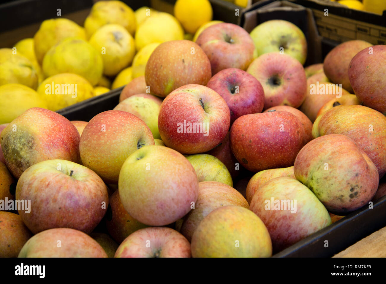 fresh fruit, many ripe red apples on the counter in the supermarket ...