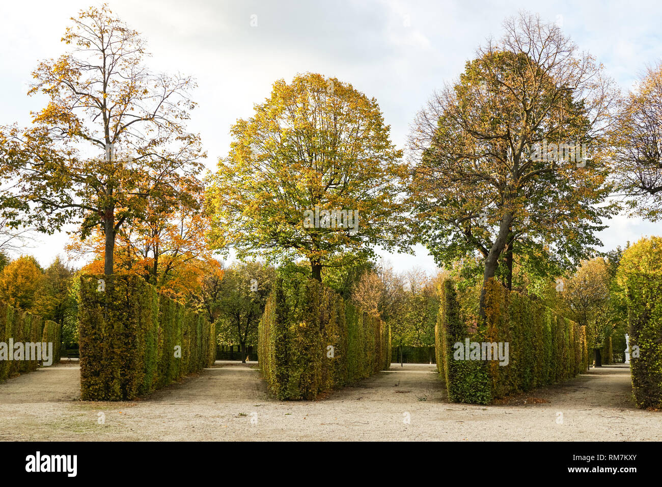 Shaped shrubs hi-res stock photography and images - Alamy