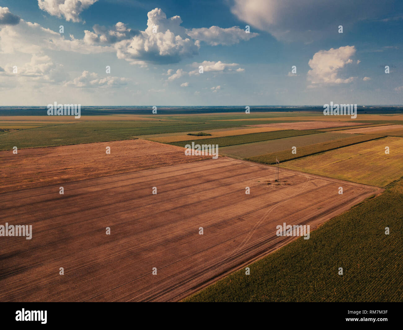 Soybean corn fields in hi-res stock photography and images - Alamy