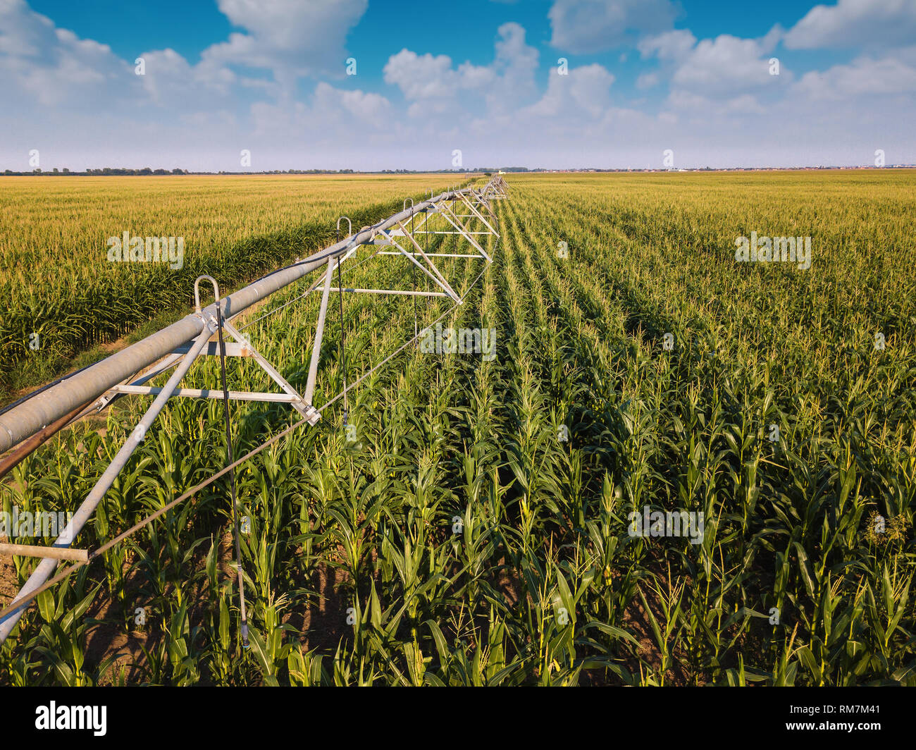 Drone photography, aerial view of water irrigation system in cultivated ...